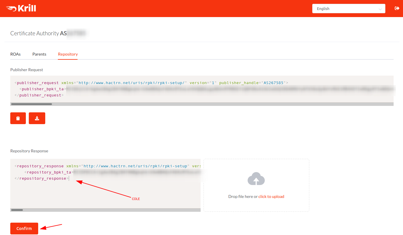 Como configurar o RPKI de forma simples - Remontti